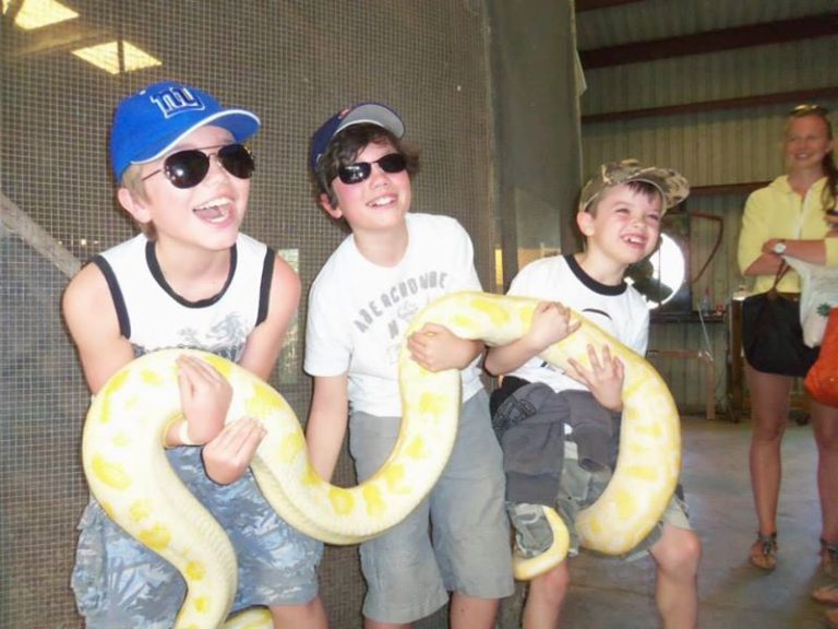 Spring Break Activities For Kids in Southwest Florida | Everglades ...